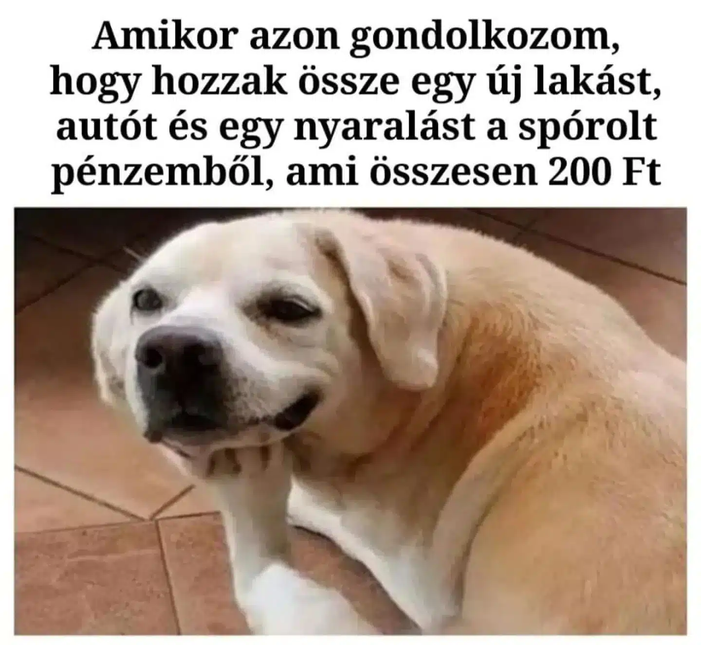 Vicces képek - 1728821681