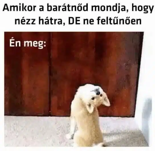 Vicces képek - 1729078541