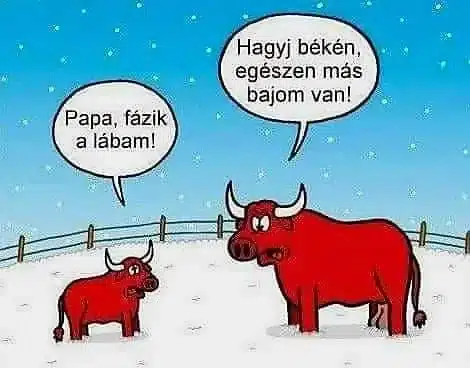 Vicces képek - 1732302015