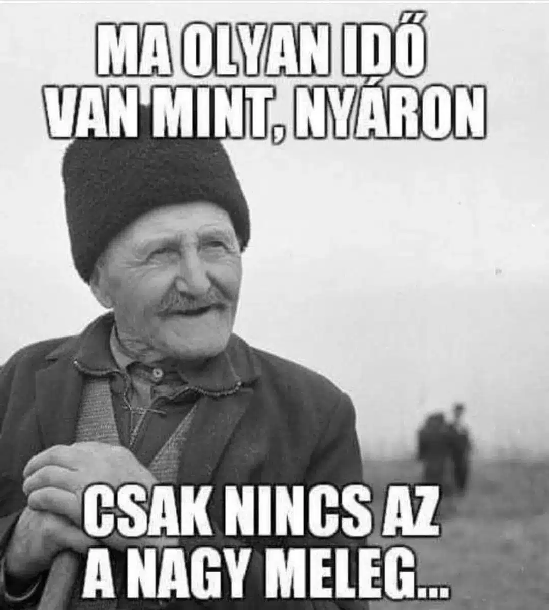 Vicces képek - 1732386691