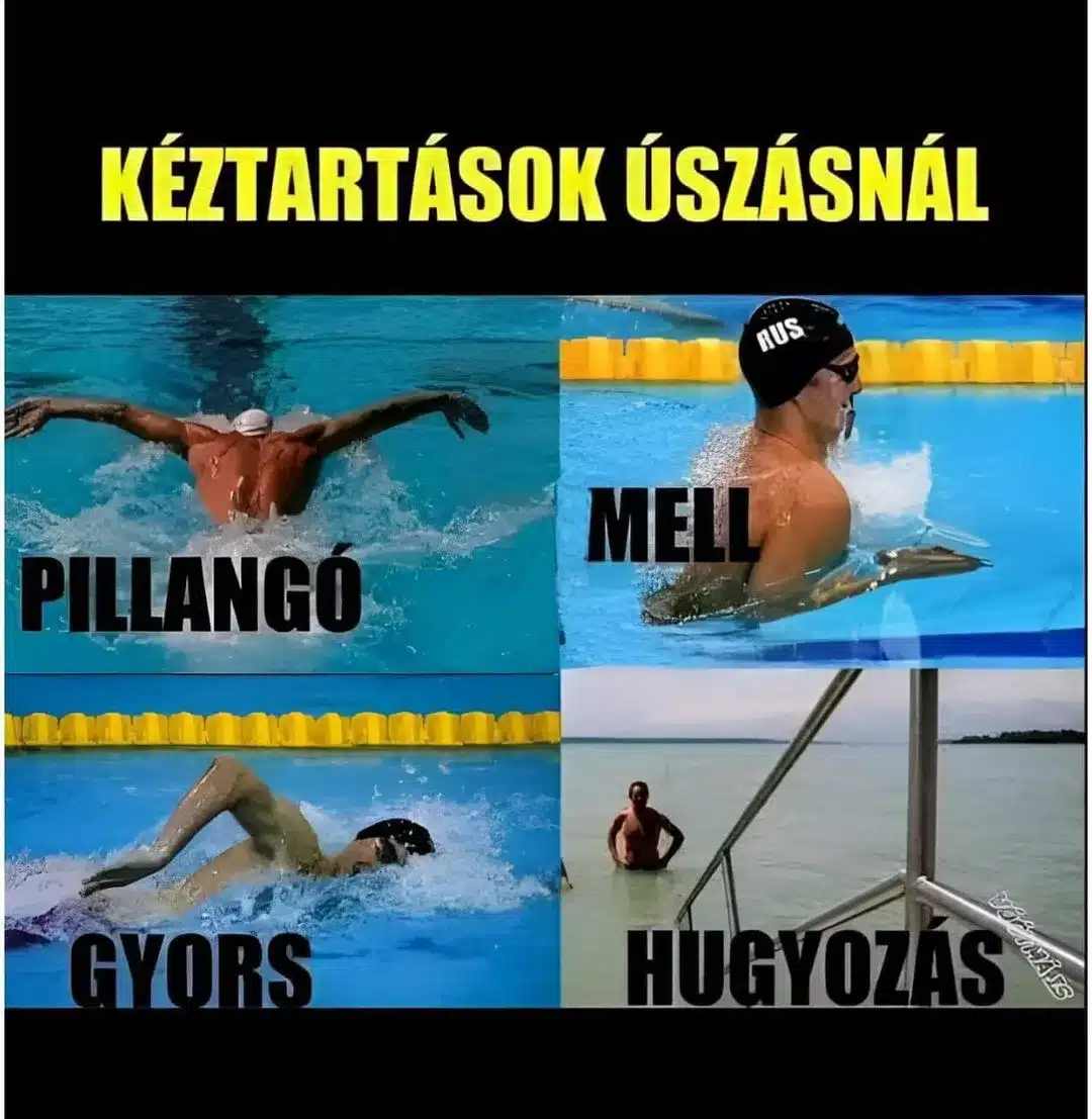 Vicces képek - 1732447830