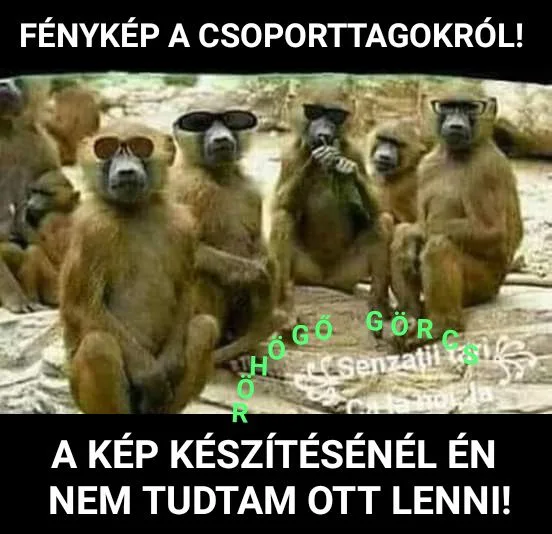 Vicces képek - 1740672464