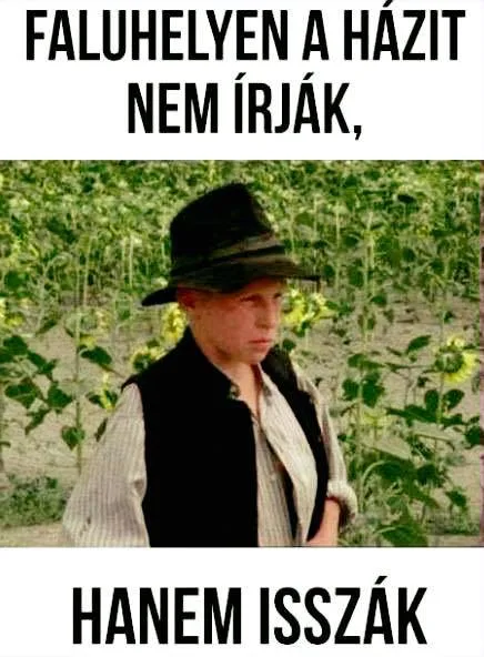 Vicces képek - 1741420814