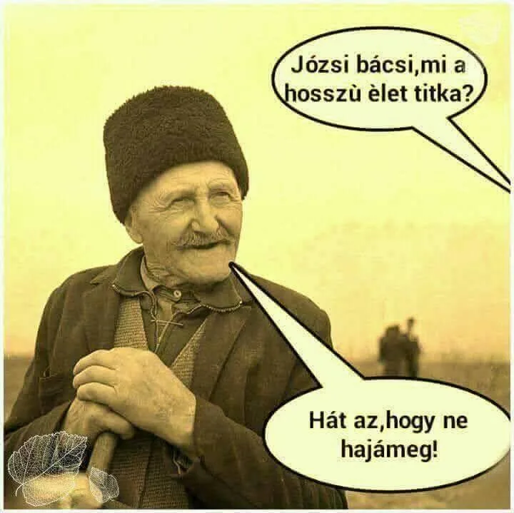 Vicces képek - 1743706808