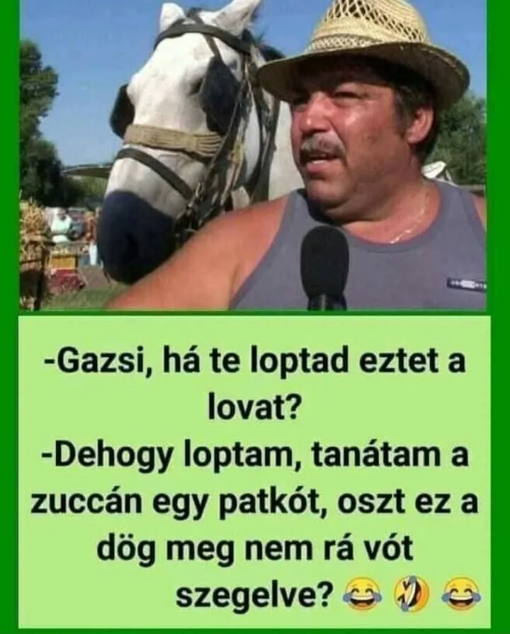 Vicces képek - 1744138808