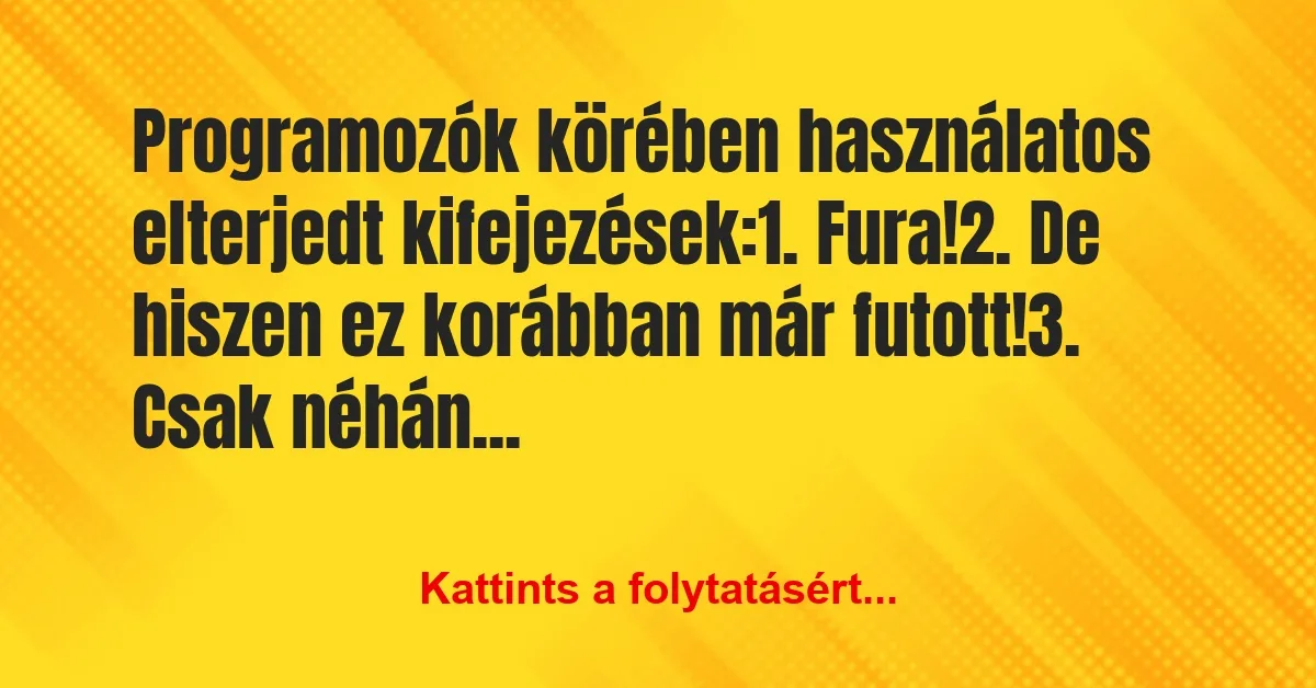 Vicc: Programozók körében használatos elterjedt kifejezések: 1....